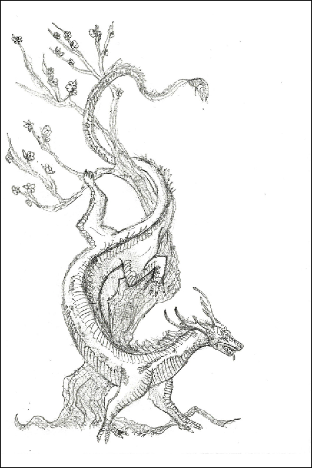 Revealing Your Inner Dragon / Revealing Your Inner Dragon